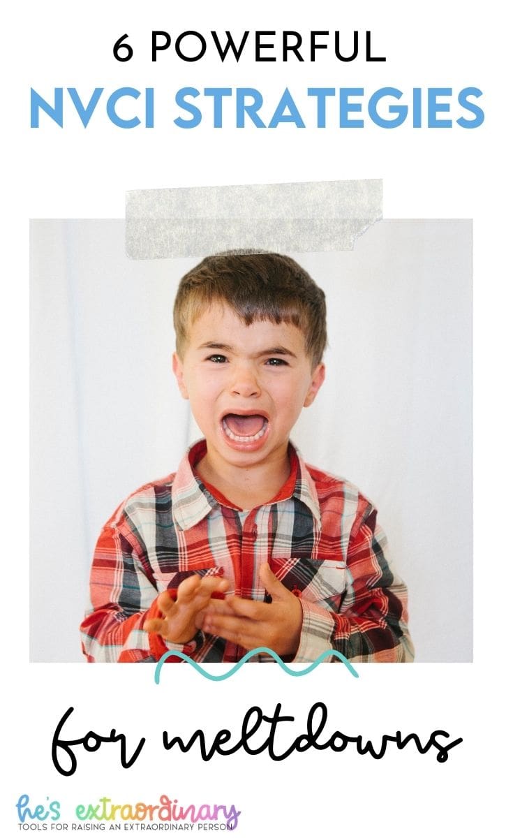 6 Powerful NVCI Skills for Handling Meltdowns - All Parents Should Know