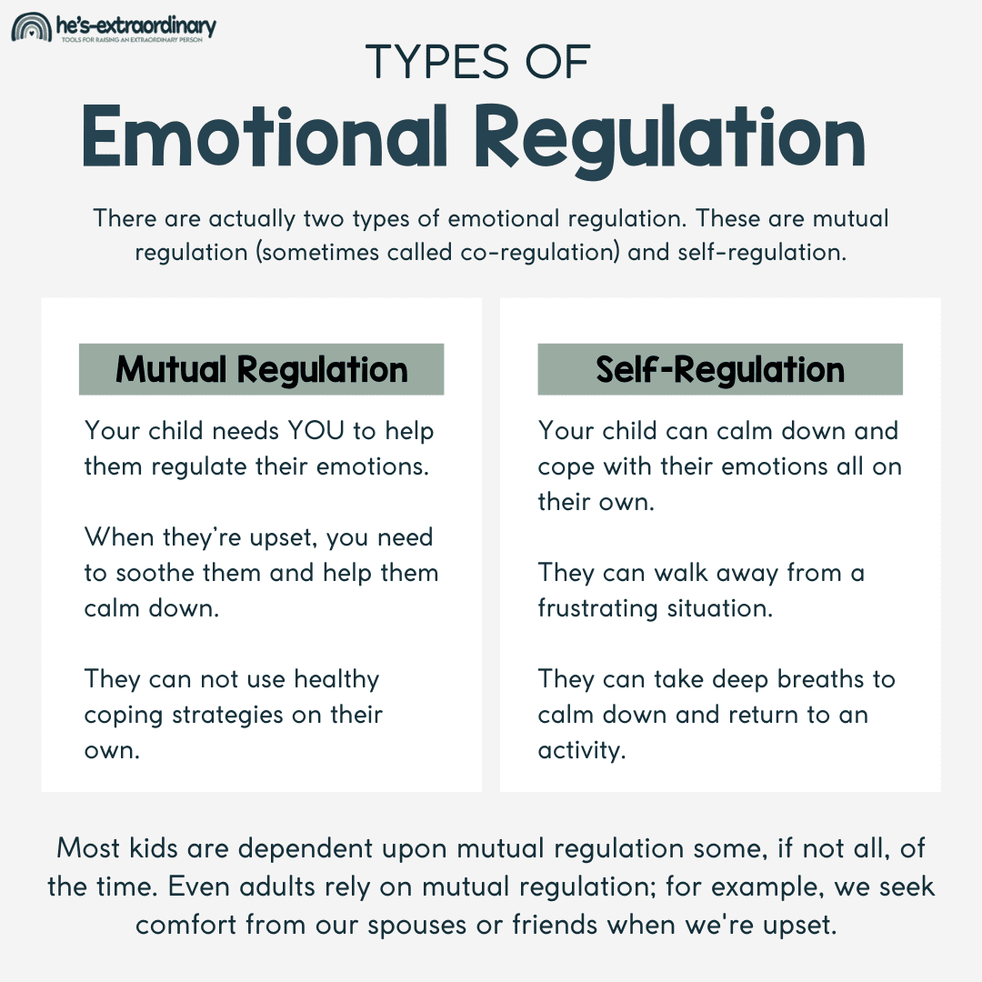 What Is Self-Regulation?