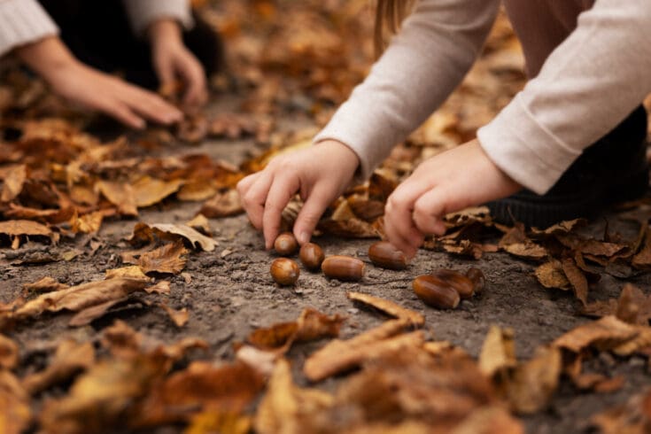 9 Fall-Themed Self-Regulation Activities for Kids