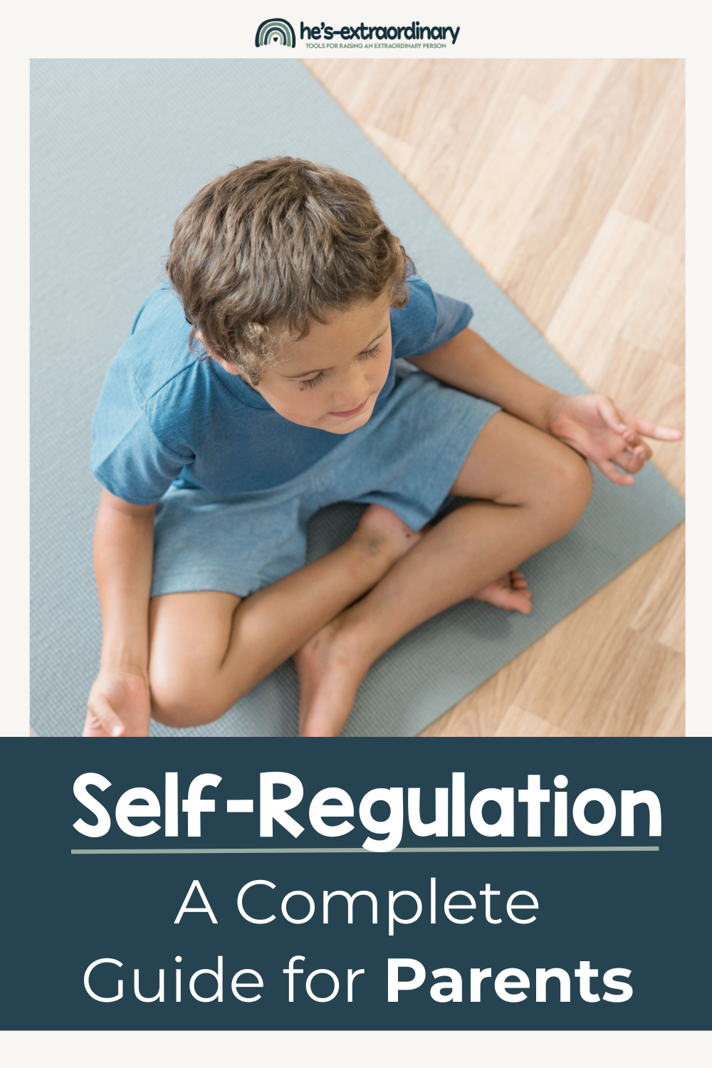 What Is Self-Regulation?