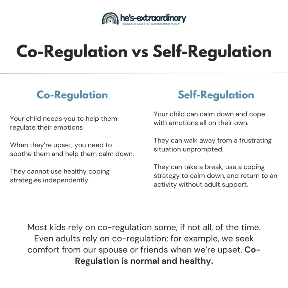 The Dos And Donts Of Co Regulation
